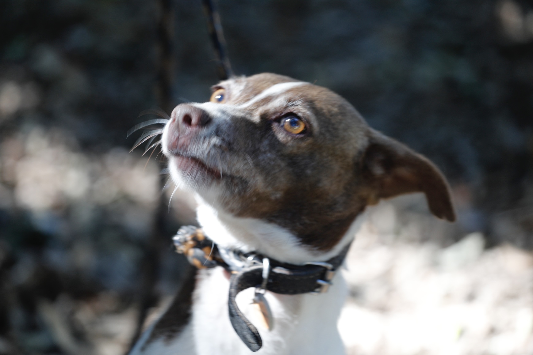 Imagem: 141295 | Banco de Imagens